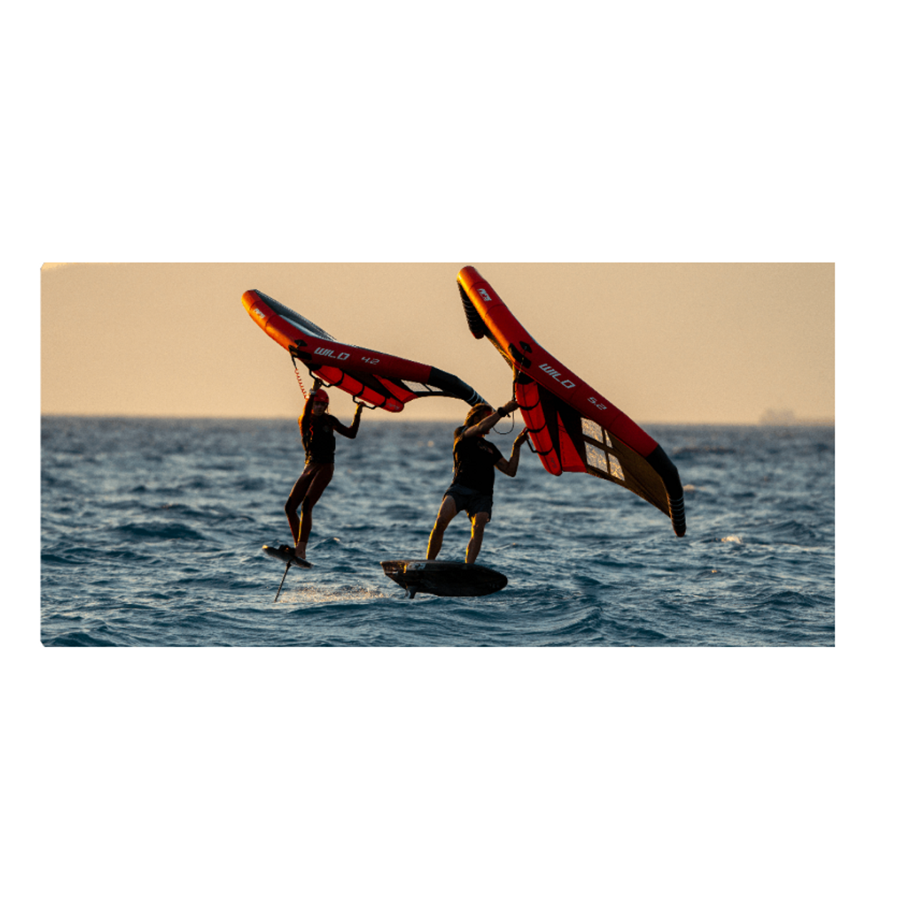 ВИНГ AFS WILD WING | GS SPORT GROUP